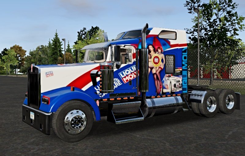 Liqui Moly W900 skin Truck simulator big rigs | Apendi Skins